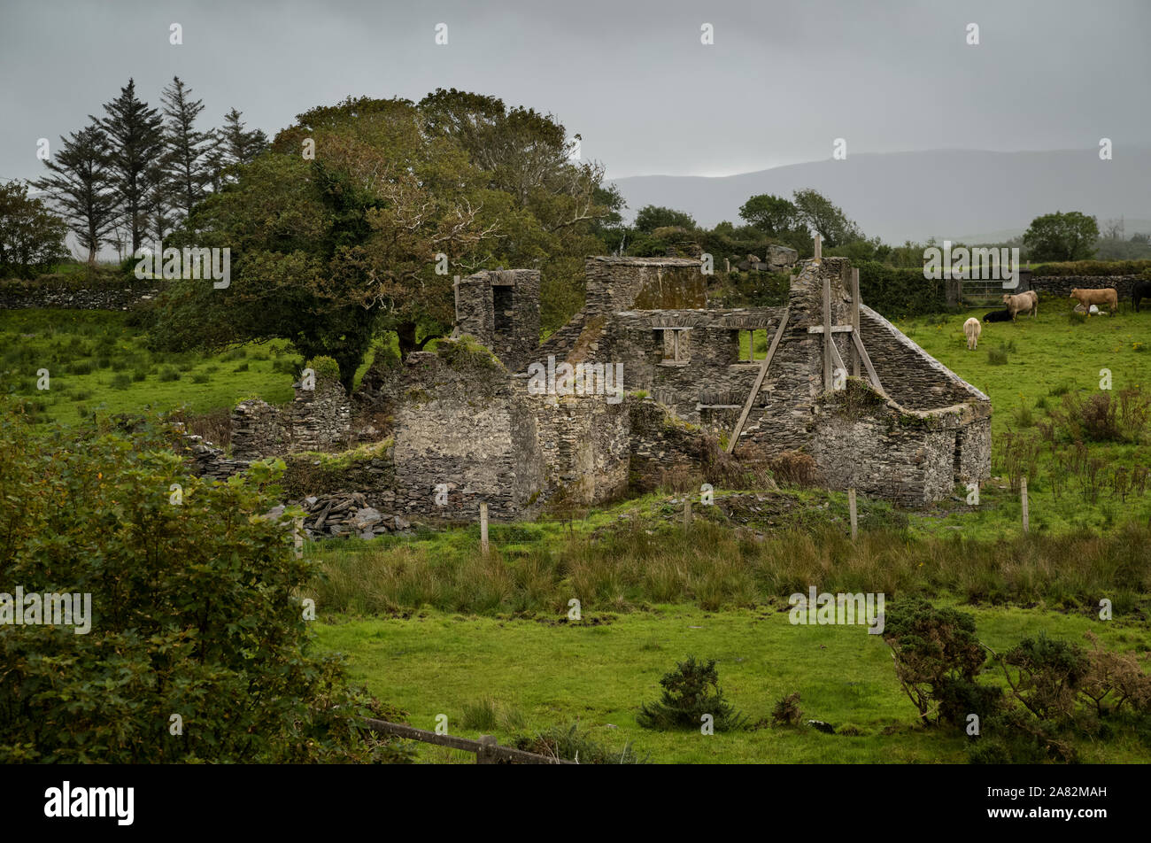 DANIEL O'CONNELL (1775-1847) BIRTHPLACE CAHERSIVEEN COUNTY KERRY ...