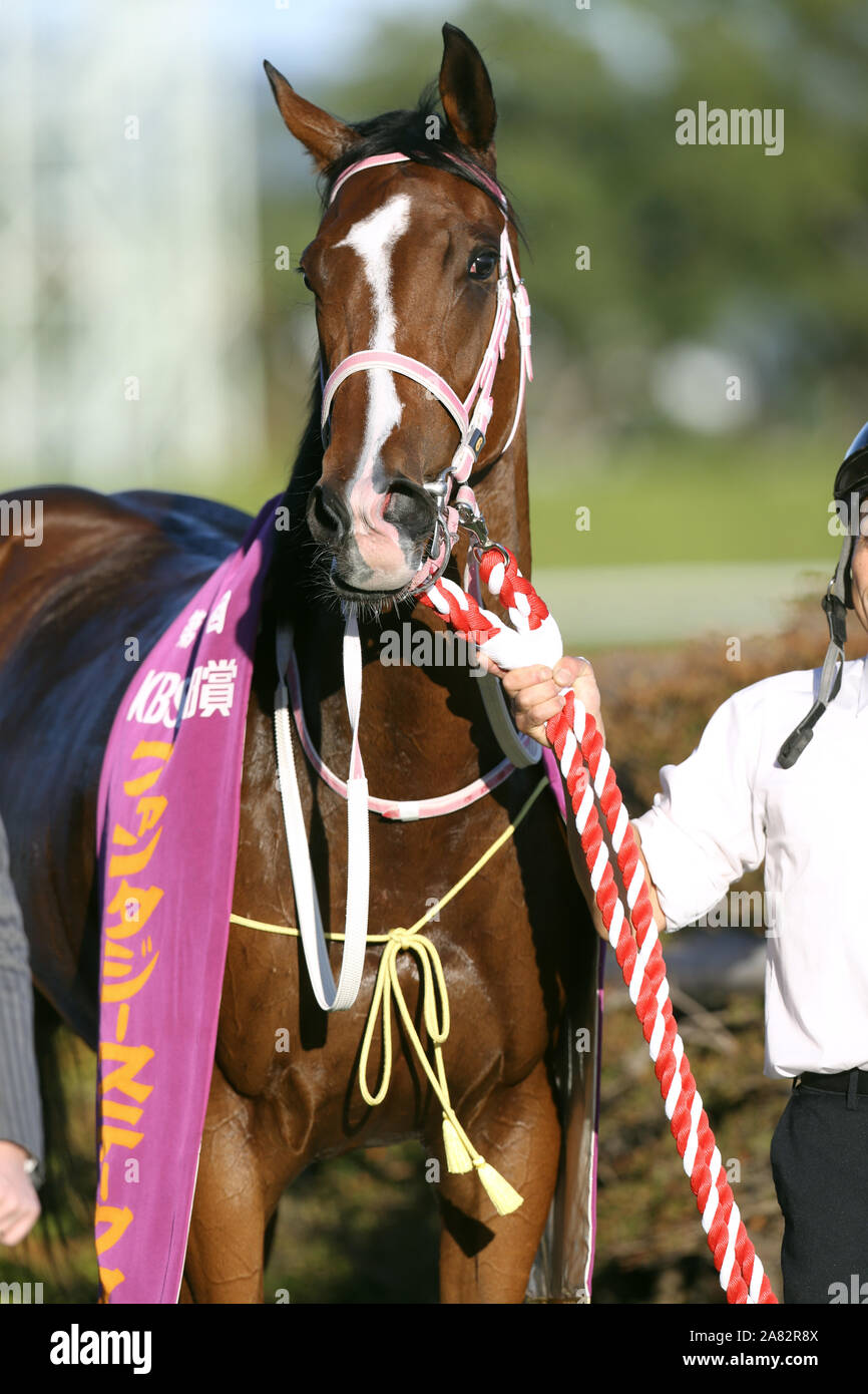 Kyoto, Japan. 2nd Nov, 2019. Resistencia Horse Racing : Resistencia ...