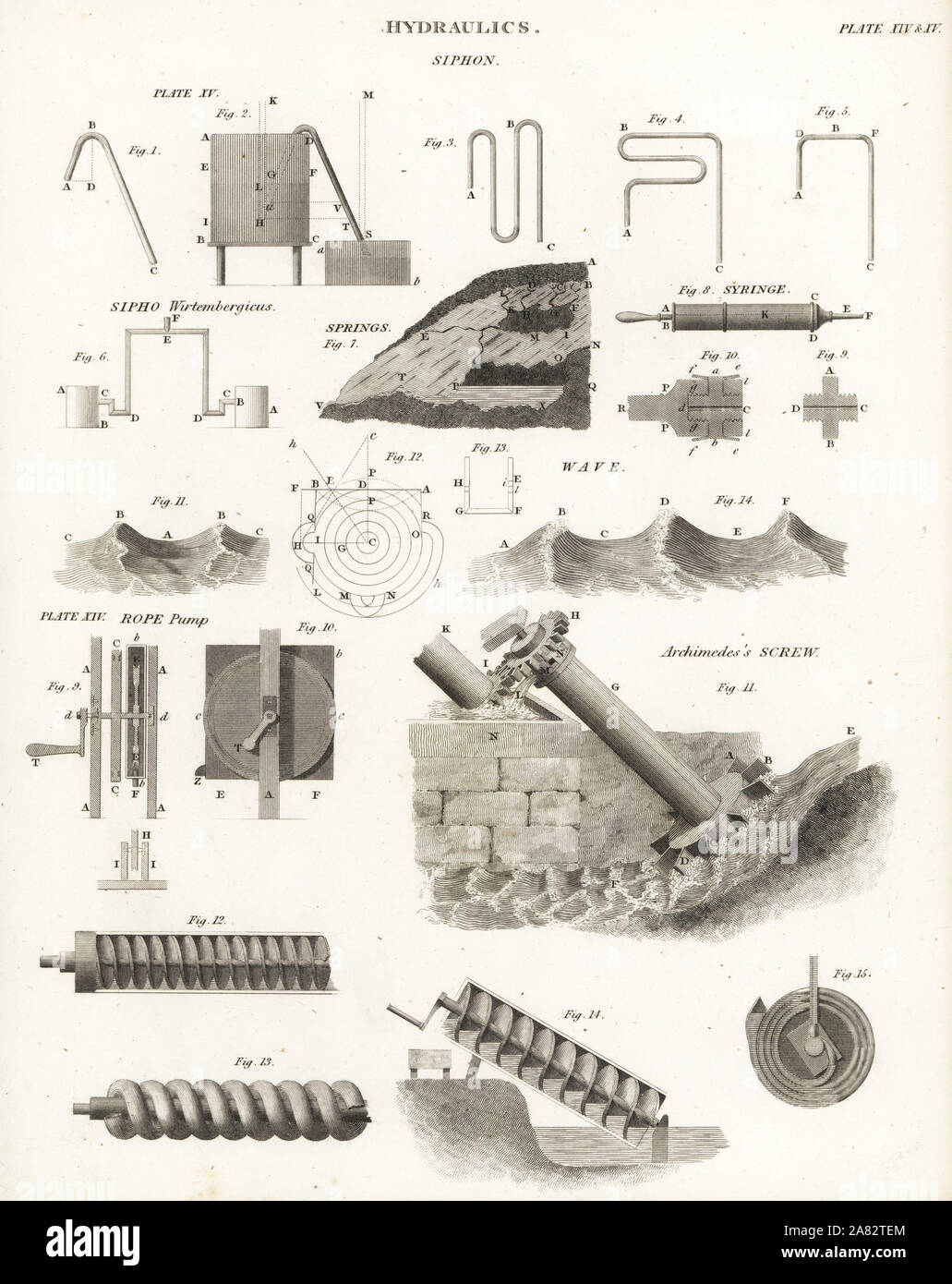 Sipho wirtembergicus hi-res stock photography and images - Alamy