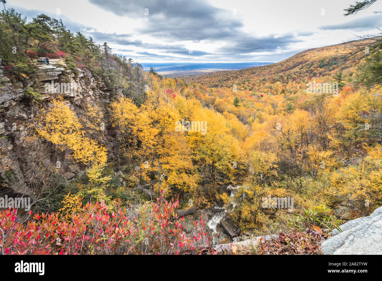 Gorgeous fall foliage and Verkeerder Falls at Sam's Point Preserve ...