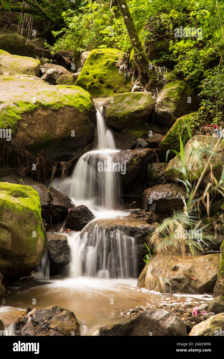 A small stream in the jungle in the Atitlan Nature Reserve near ...