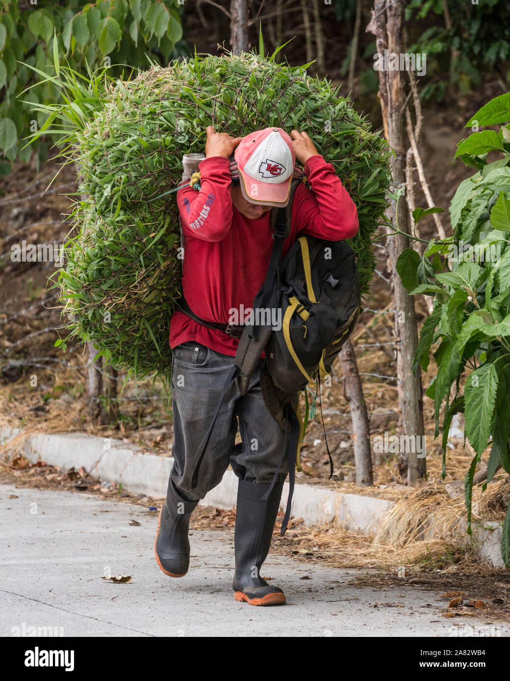 Man carrying heavy load on back hi-res stock photography and images - Alamy
