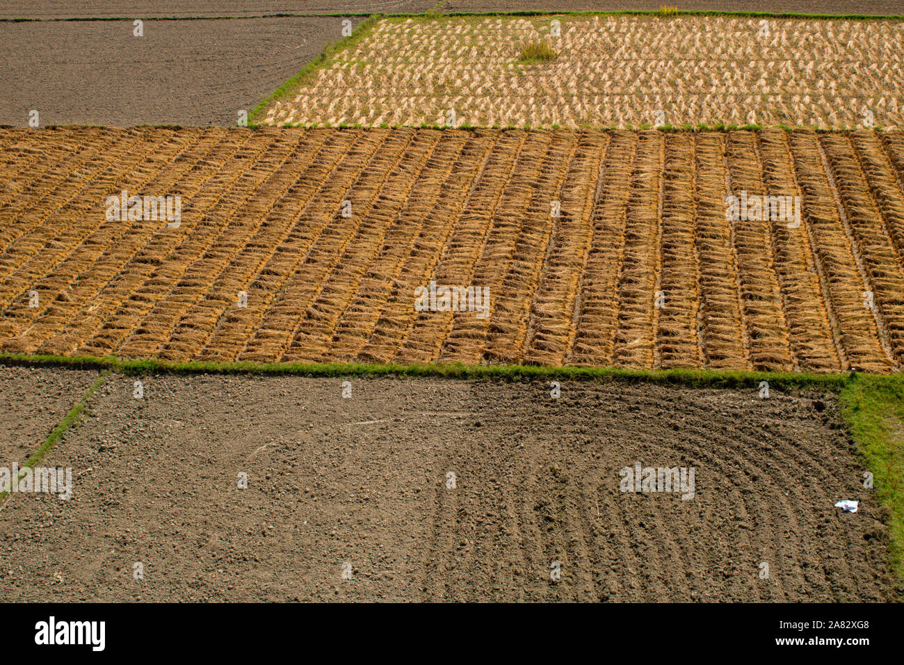 Aerial and landscape view from the flyover or a bridge, Farmland after ...