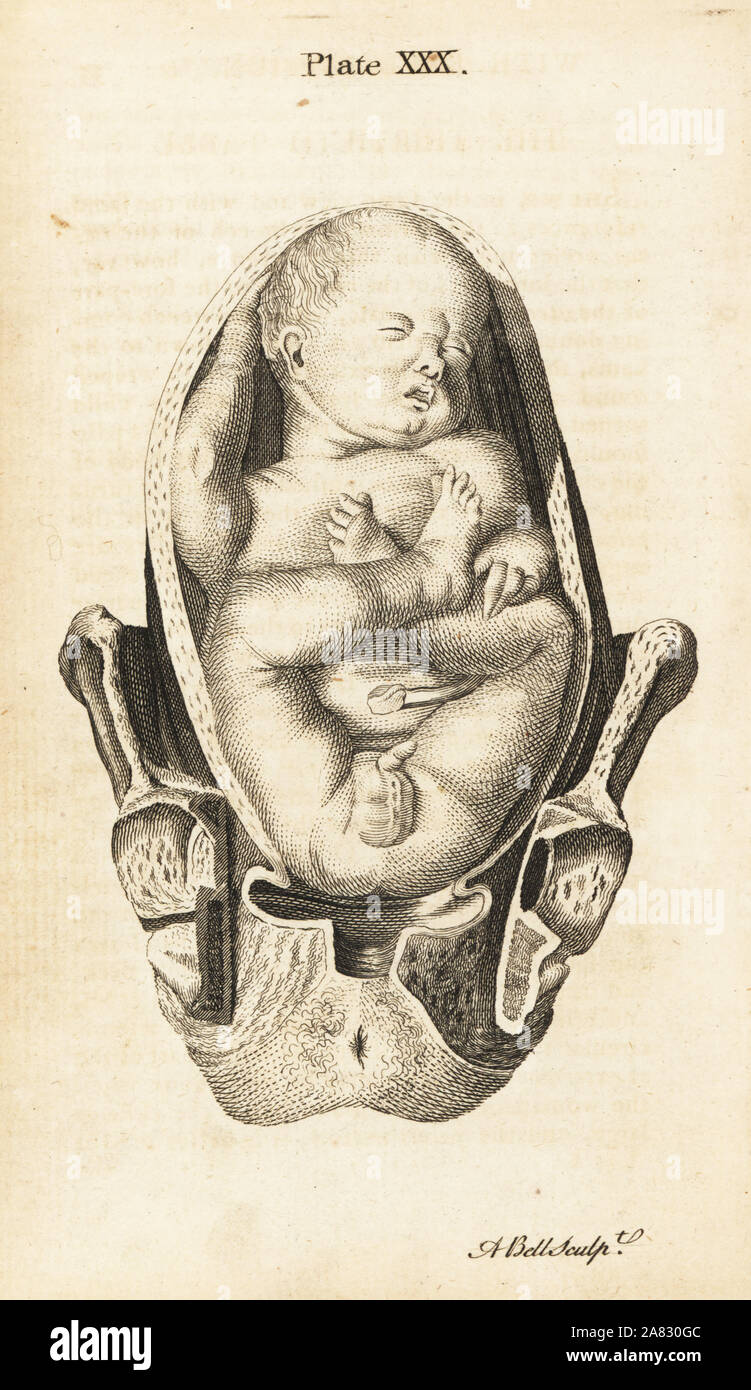 Breech position hi-res stock photography and images - Alamy