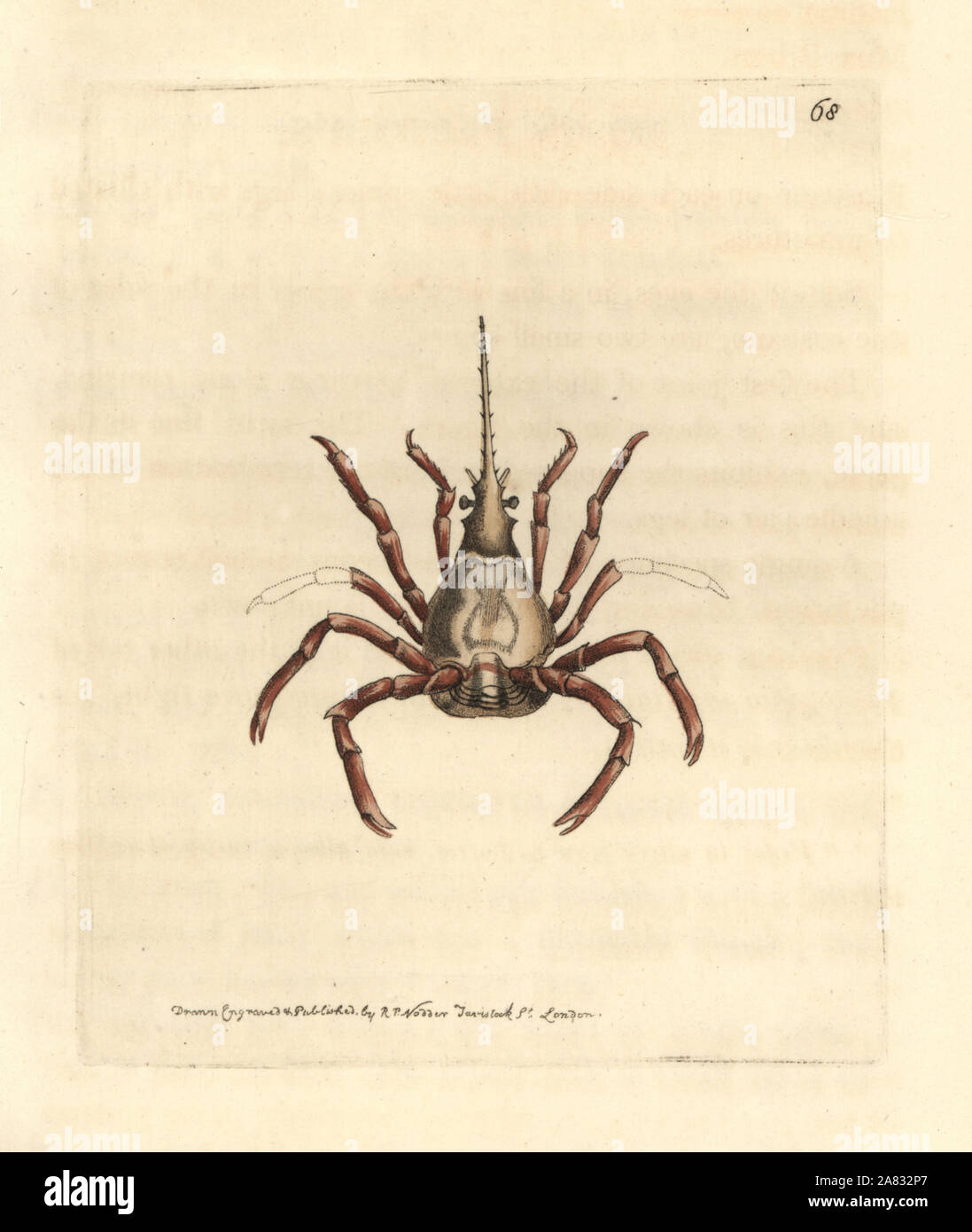 Pactolus hi-res stock photography and images - Alamy