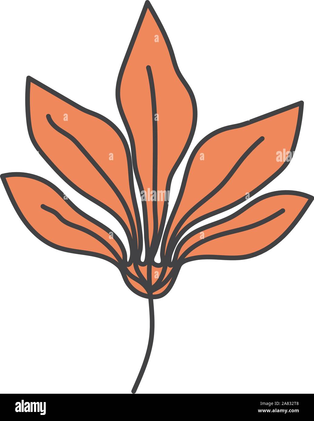 brown leaf foliage autumn on white background vector illustration Stock ...
