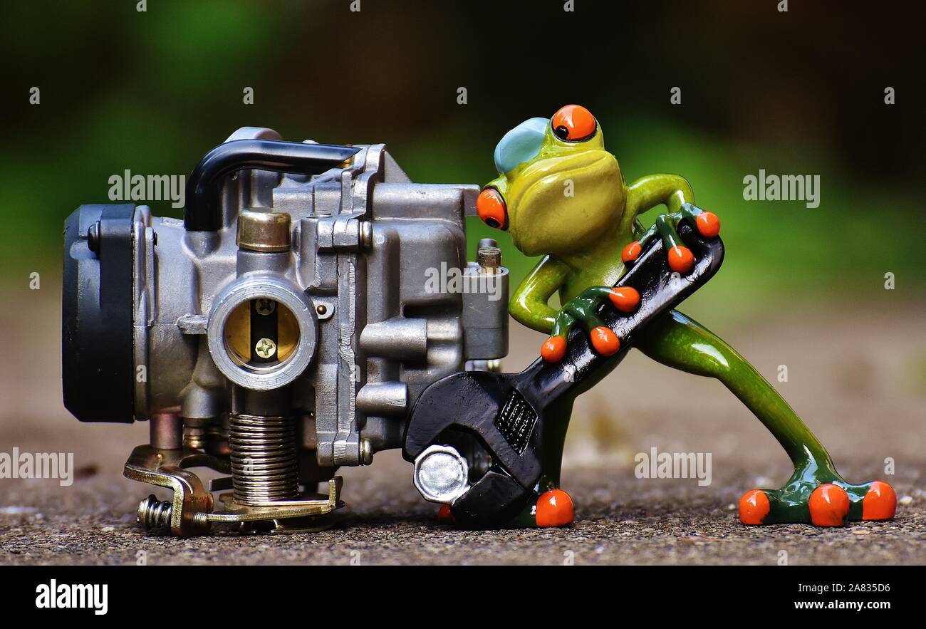 Ceramic blue frog hi-res stock photography and images - Alamy