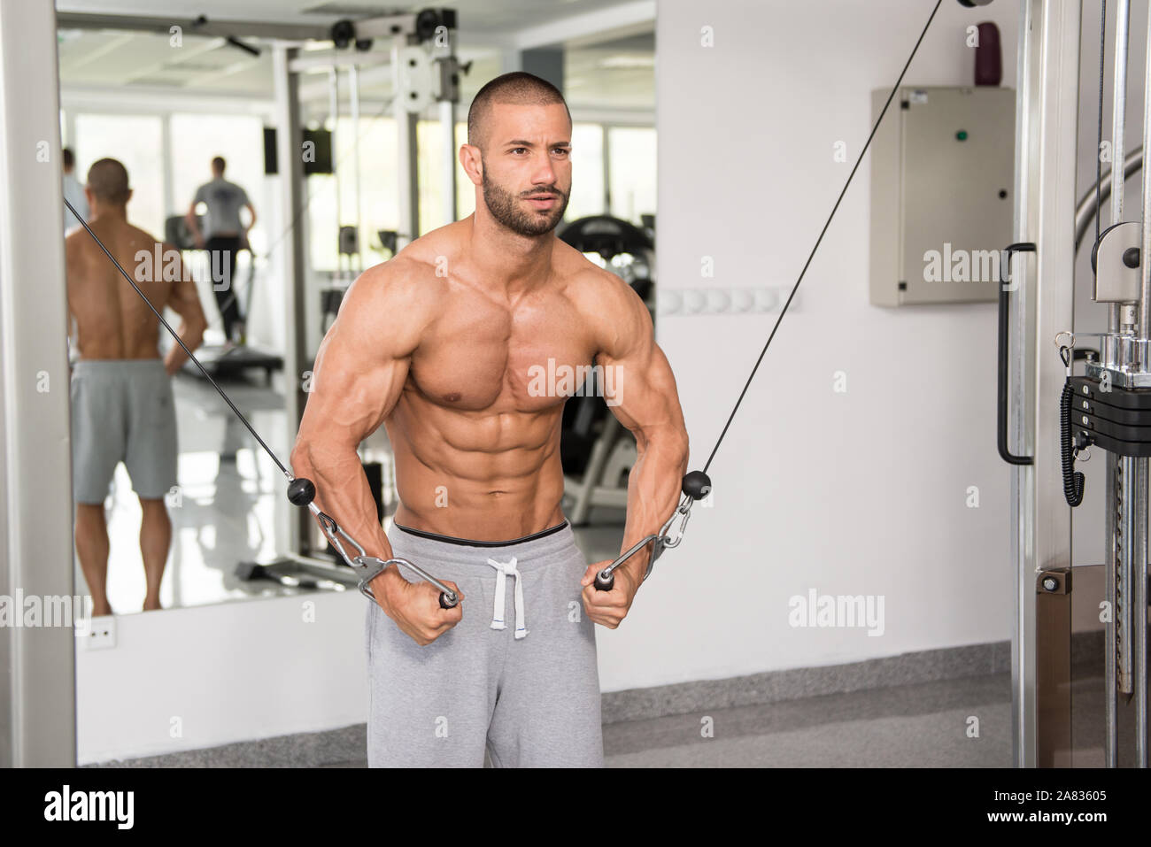 Handsome Muscular Fitness Bodybuilder Doing Heavy Weight Exercise For ...