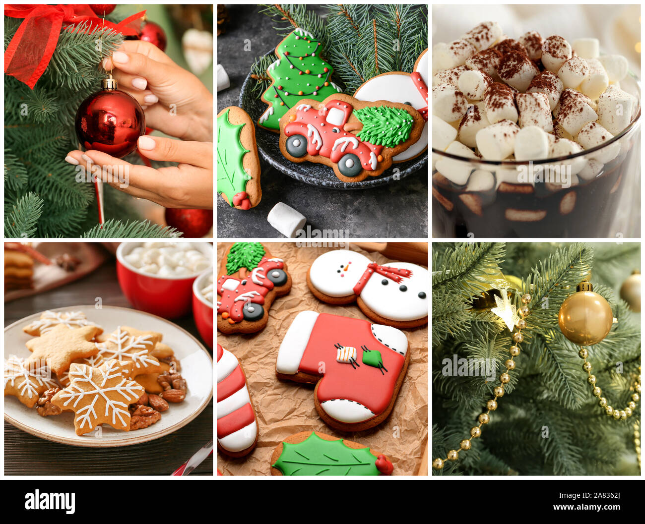 Beautiful tree many branches Cut Out Stock Images & Pictures - Alamy