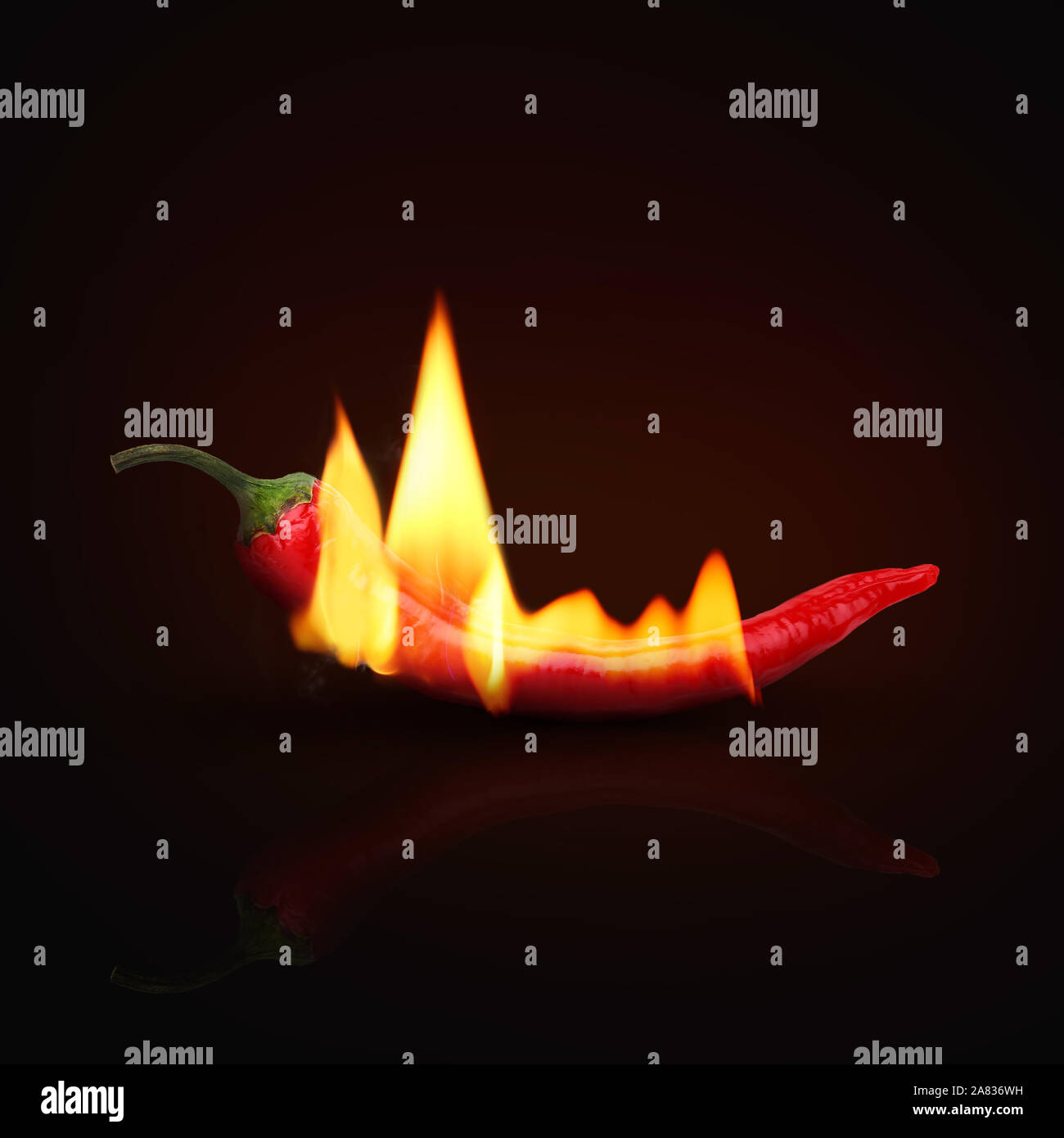 Red hot chili pepper with fire on dark background Stock Photo - Alamy