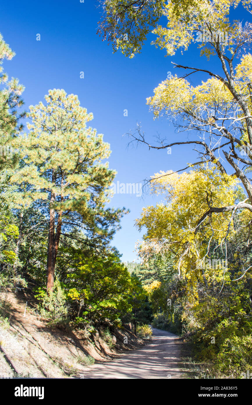 Santa fe national forest hi-res stock photography and images - Alamy