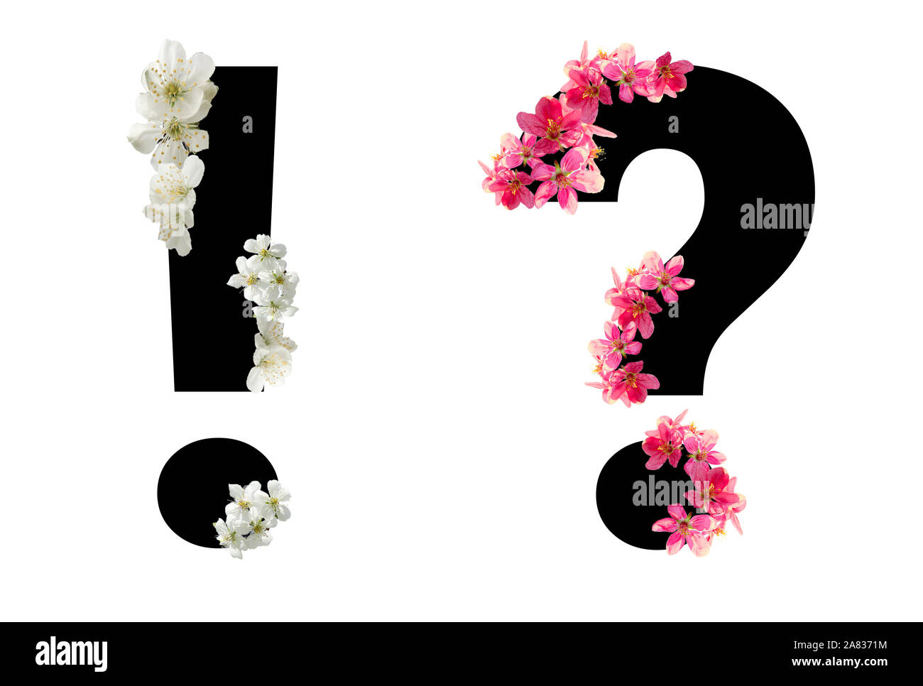 Exclamation and interrogation marks with beautiful flowers on white ...