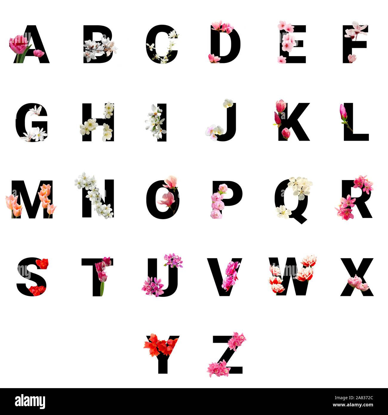 Beautiful Alphabet Letters
