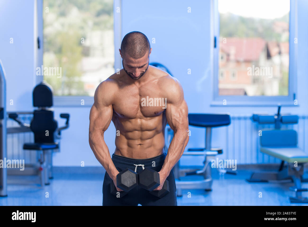 Man Working Out Shoulders In A Gym - Dumbbell Concentration Curls Stock ...
