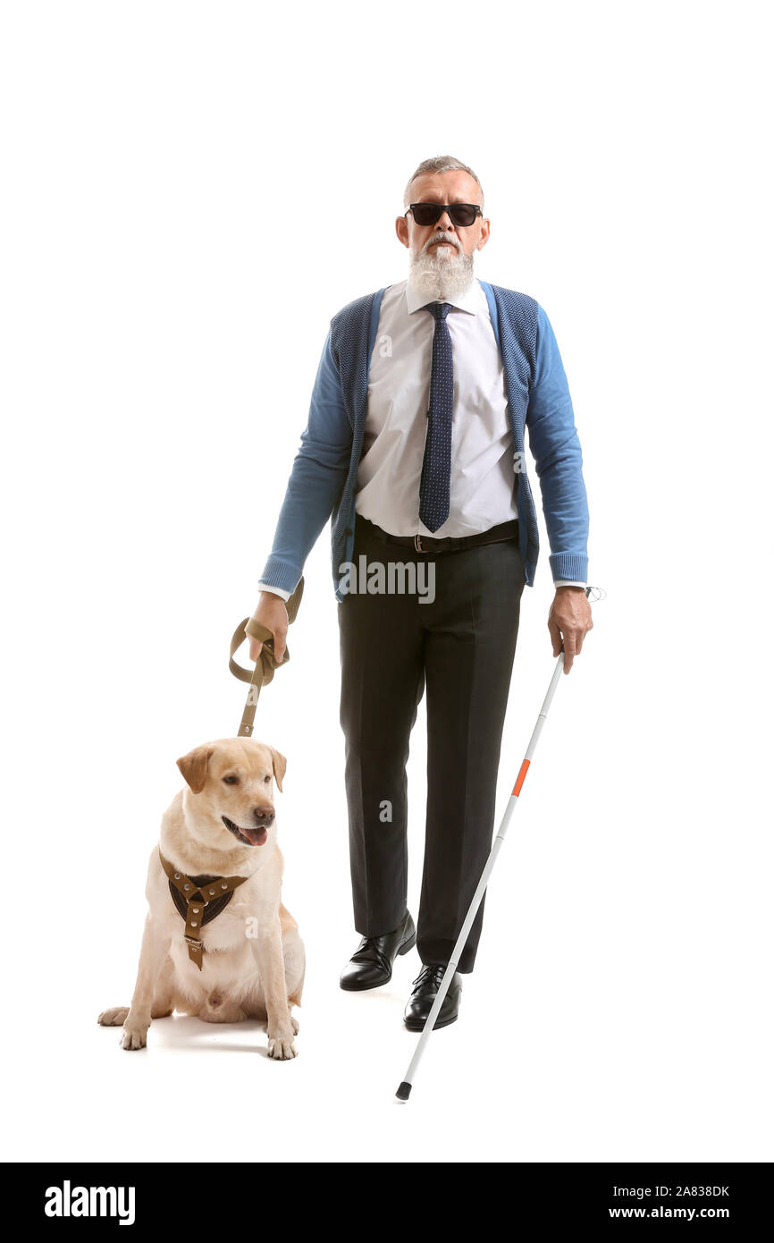Blind mature man with guide dog on white background Stock Photo - Alamy