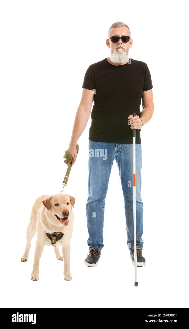 Blind mature man with guide dog on white background Stock Photo - Alamy