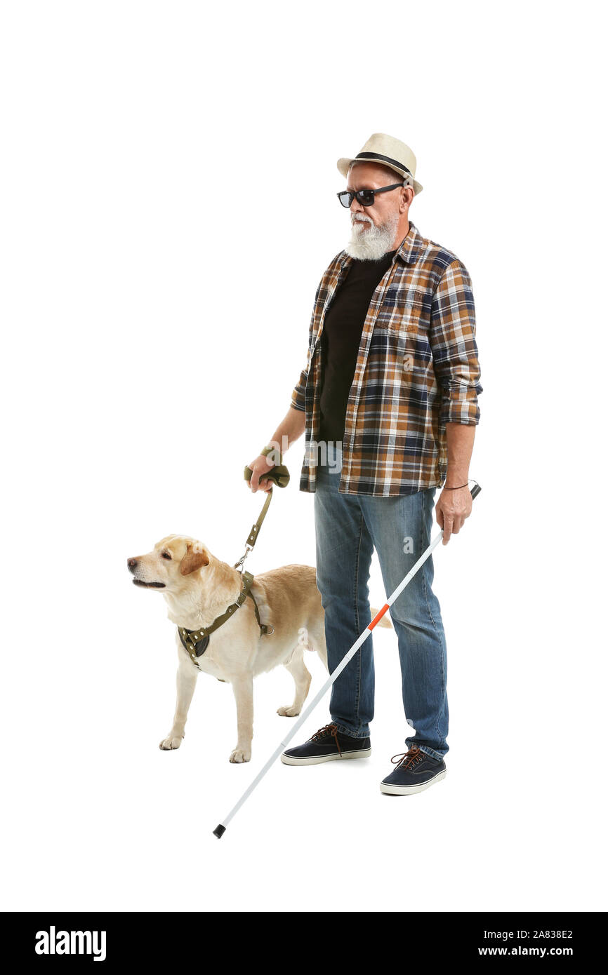 Blind mature man with guide dog on white background Stock Photo - Alamy