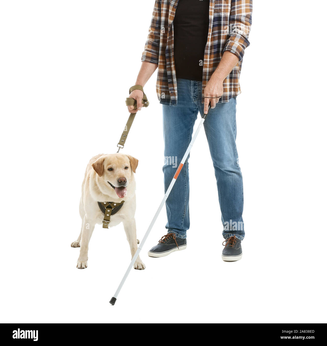 Blind mature man with guide dog on white background Stock Photo - Alamy