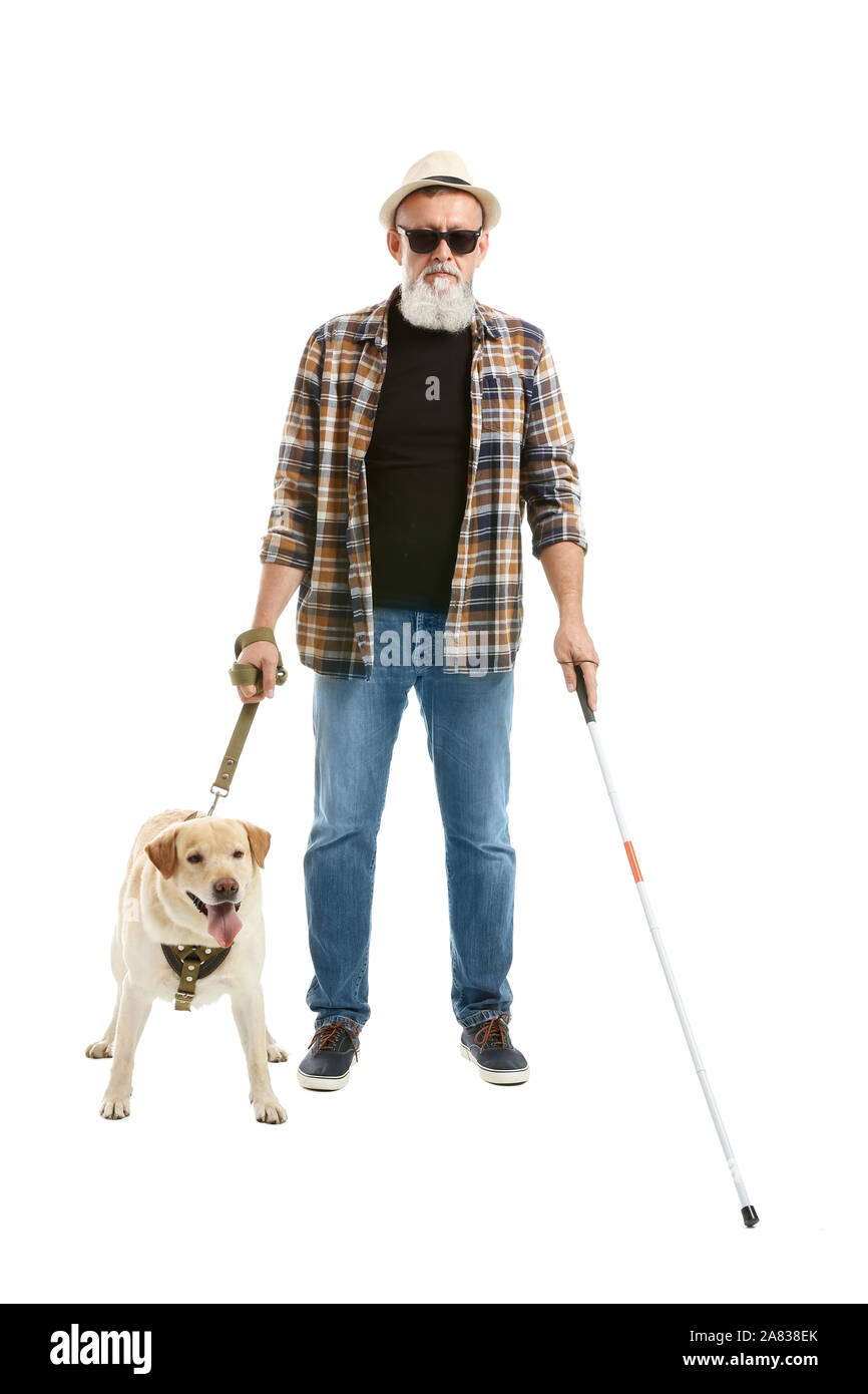 Blind mature man with guide dog on white background Stock Photo - Alamy