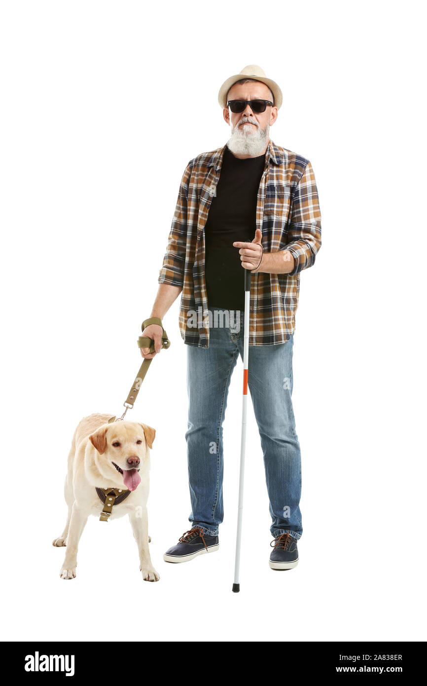 Blind mature man with guide dog on white background Stock Photo - Alamy