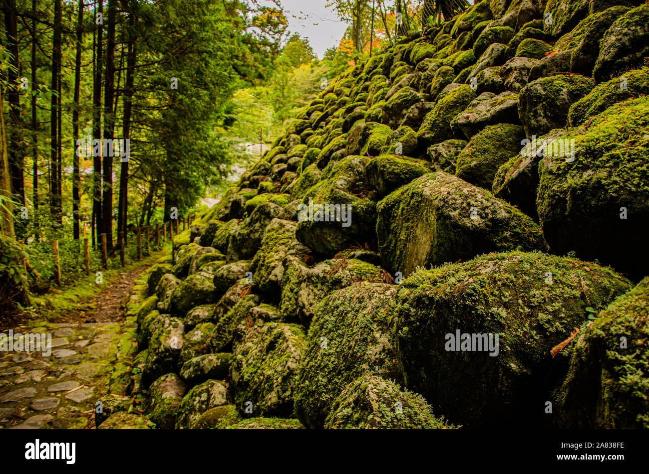 Stone path in Nikko, Japan Stock Photo - Alamy