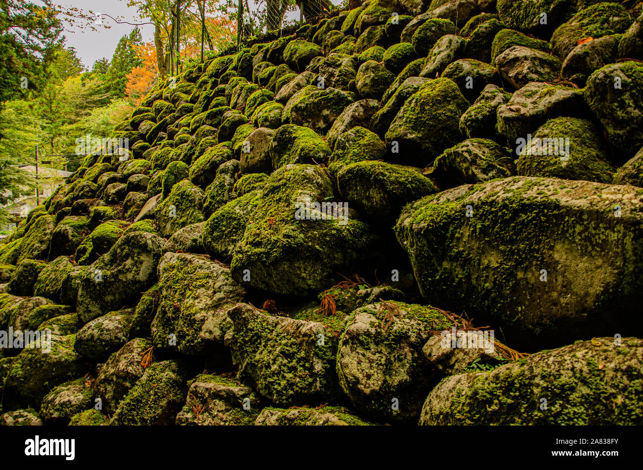 Stone path in Nikko, Japan Stock Photo - Alamy