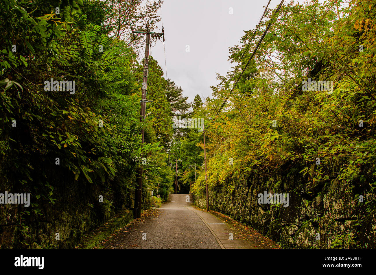Japanese path in Nikko, Japan Stock Photo - Alamy