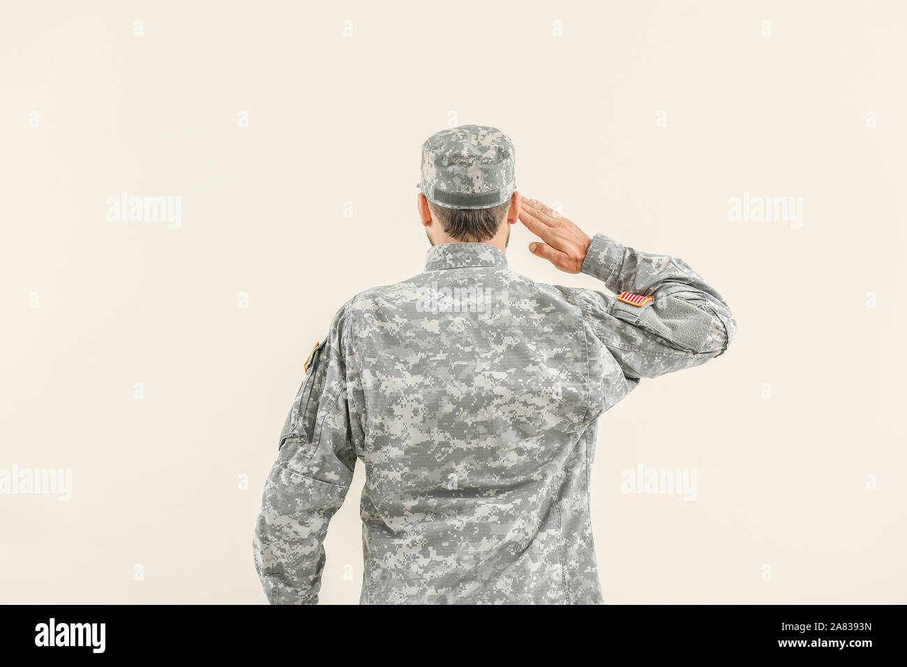 Saluting soldier on light background, back view Stock Photo - Alamy