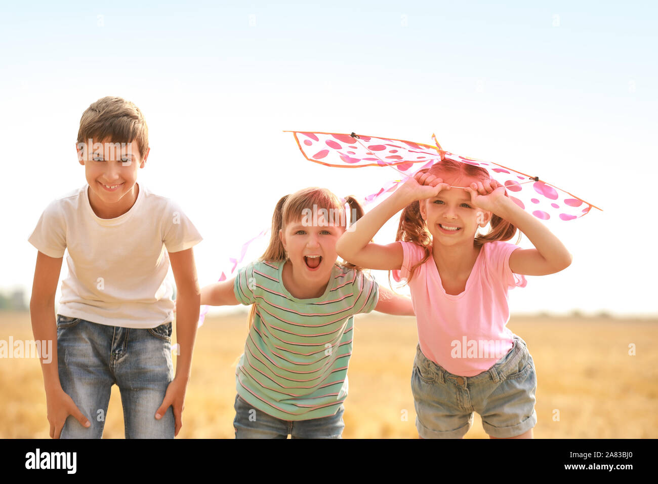 Little children flying kite outdoors Stock Photo - Alamy