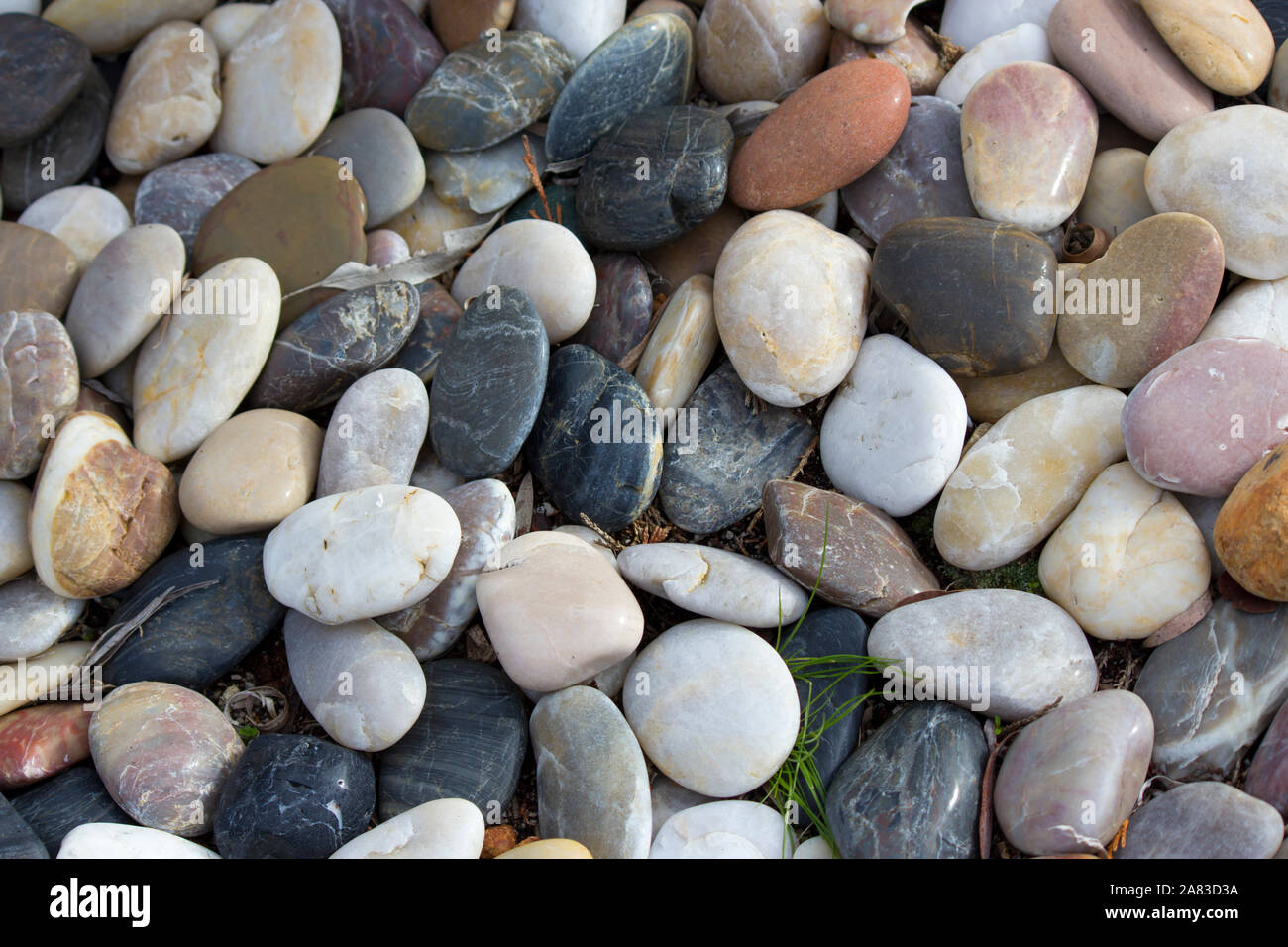 Decorative smooth grey, white, slate, brown and multi textured stones ...