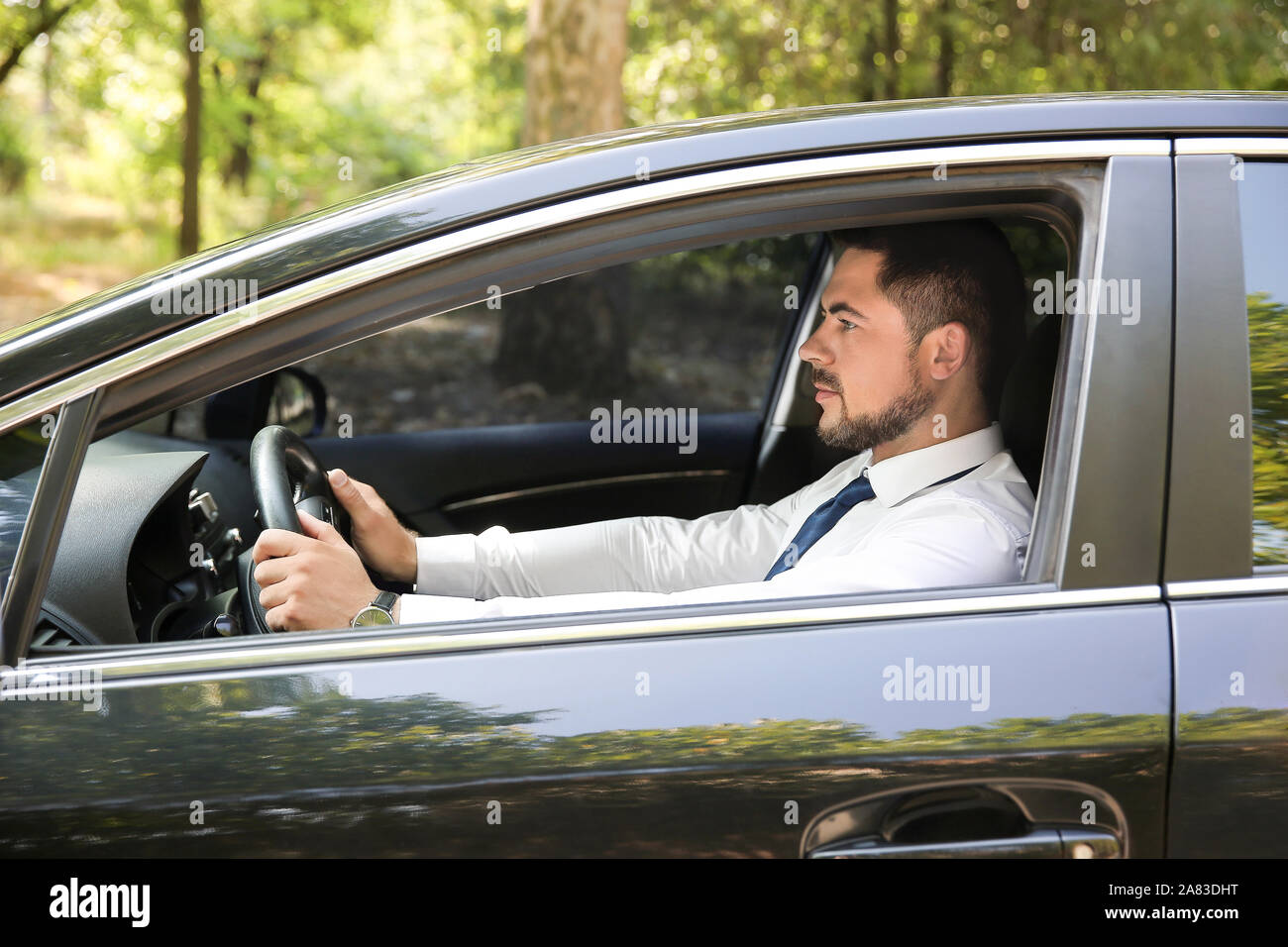Successful businessman driving modern car Stock Photo - Alamy