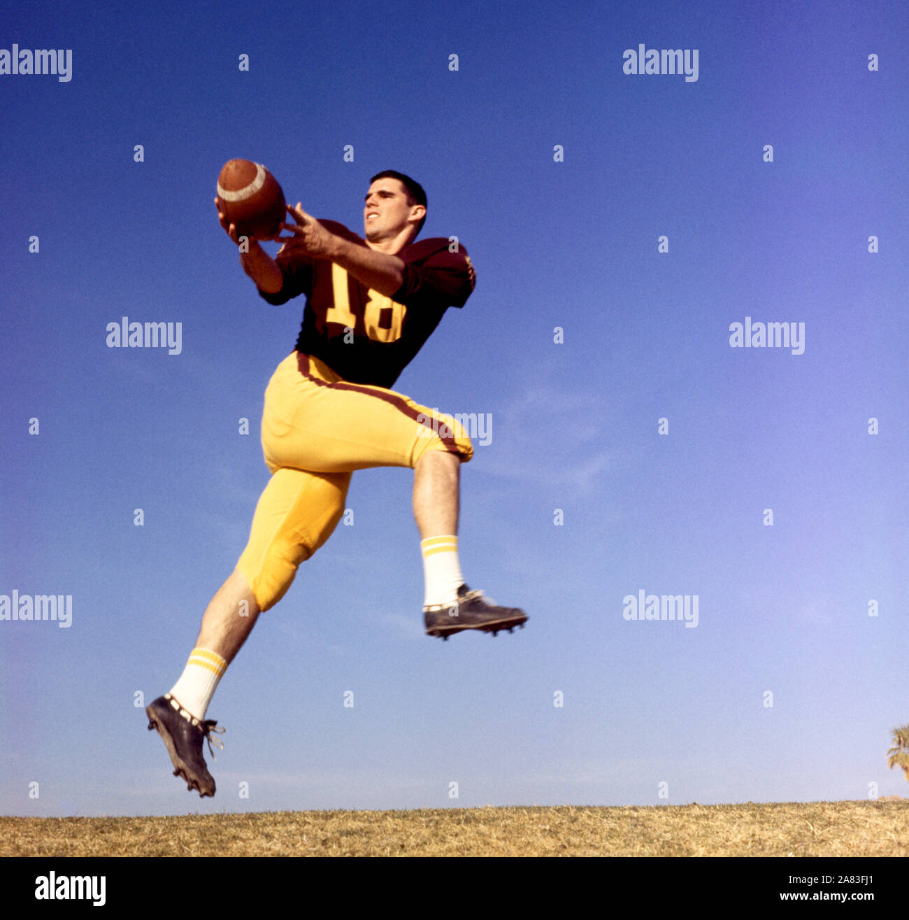 Peskin hi-res stock photography and images - Alamy