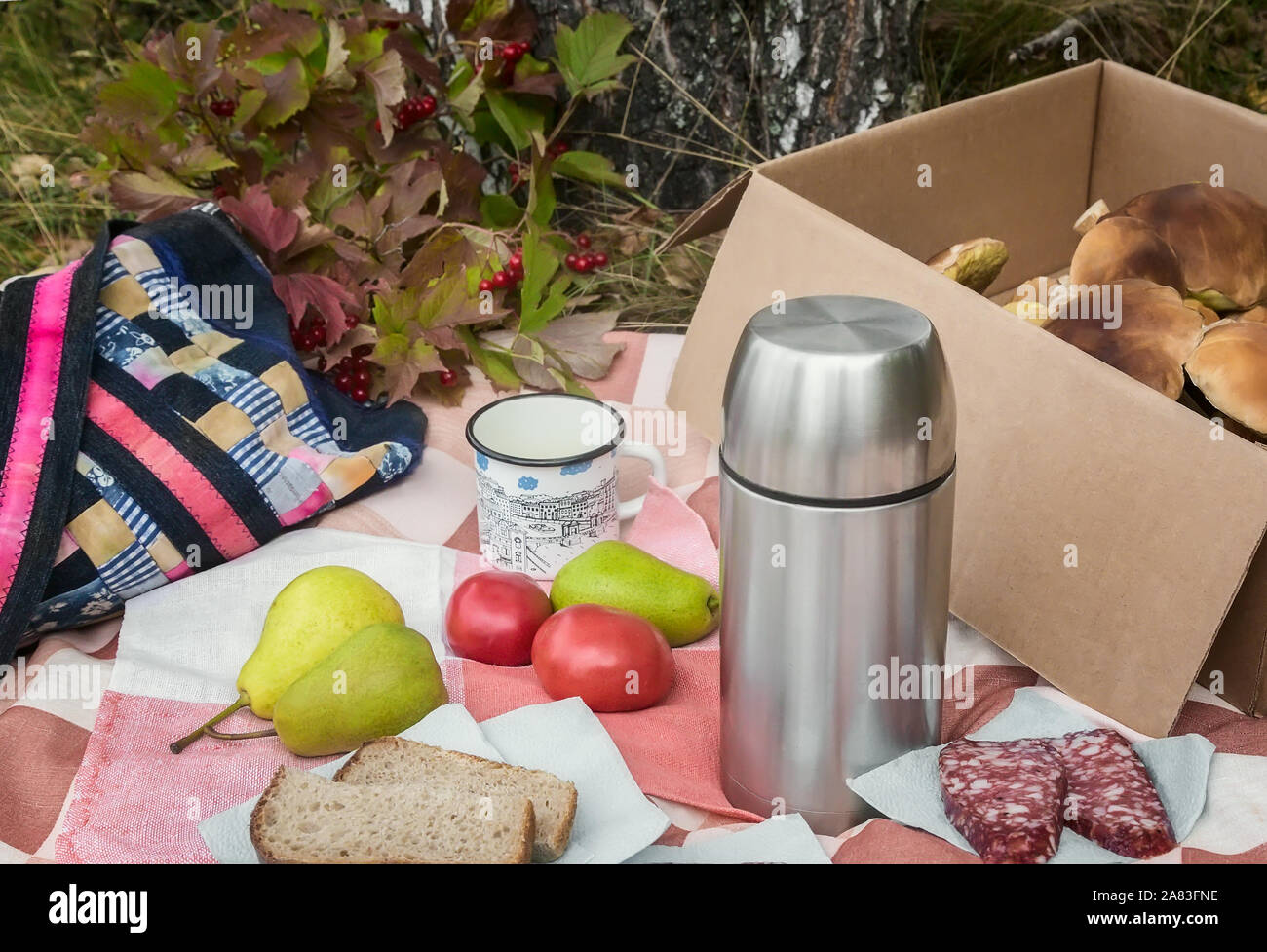 Breakfast in the woods while collecting mushrooms Stock Photo - Alamy