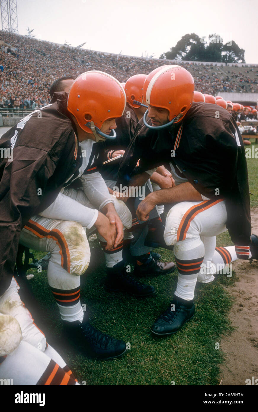 Im ray smith hi-res stock photography and images - Alamy