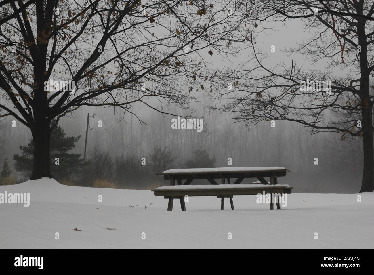 snow covered picnic table, at a rest stop/area, in a wooded area in ...