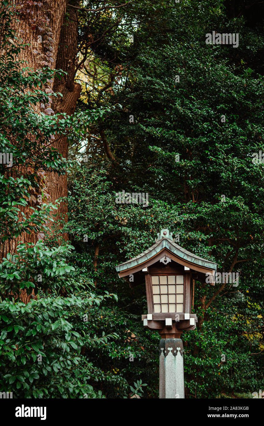 Old Japanese lamp decoration of Meiji Jingu Shrine under big tree in ...