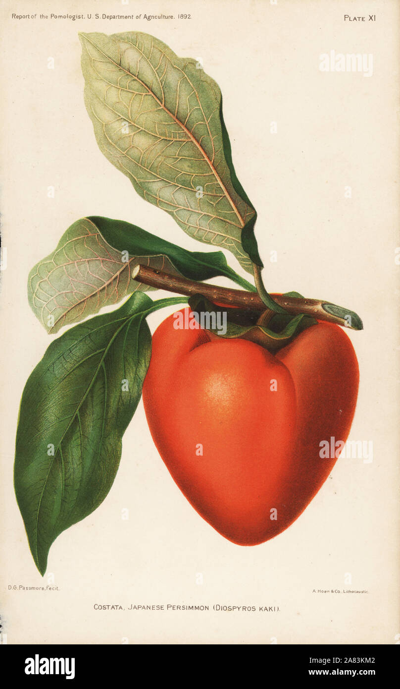 William Prestele High Resolution Stock Photography and Images - Alamy