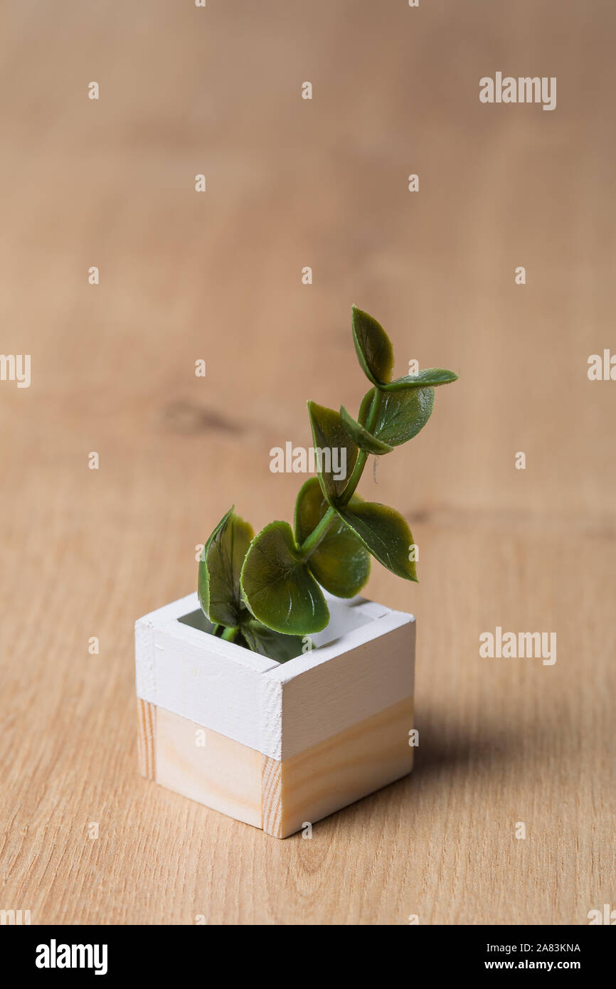 Fake green plant on a white pot close up still Stock Photo - Alamy