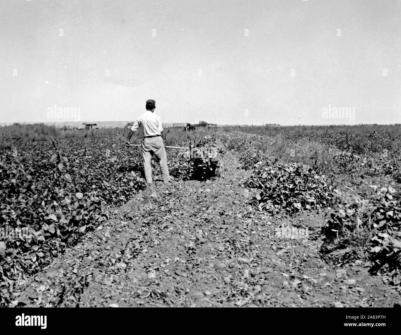 Working man 1950 hi-res stock photography and images - Alamy