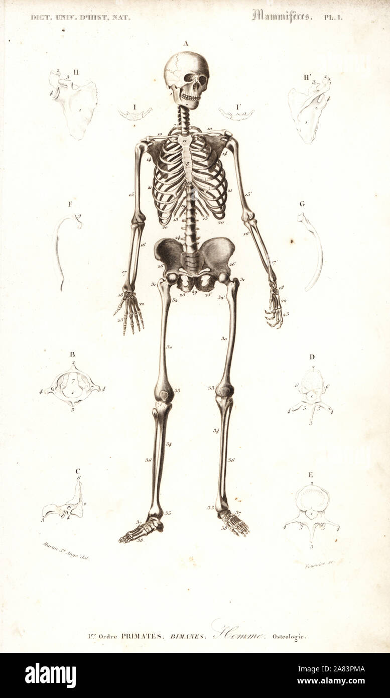 Martin st ange hi-res stock photography and images - Alamy