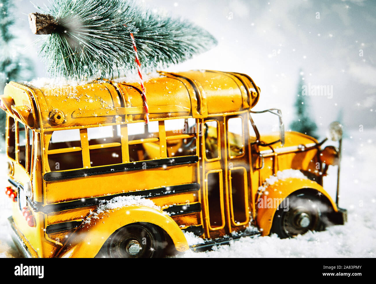 Colorful yellow bus carrying a Christmas tree on the roof to decorate ...