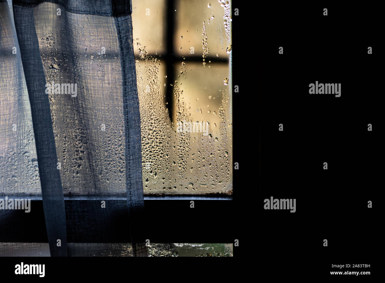 Translucent curtains on a wet glass window Stock Photo - Alamy