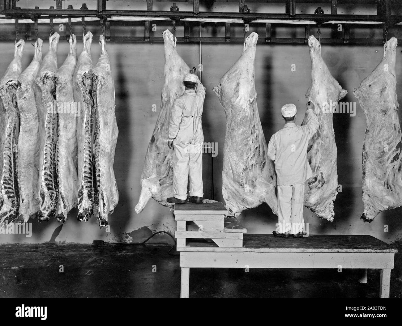 Meat Packing Industry