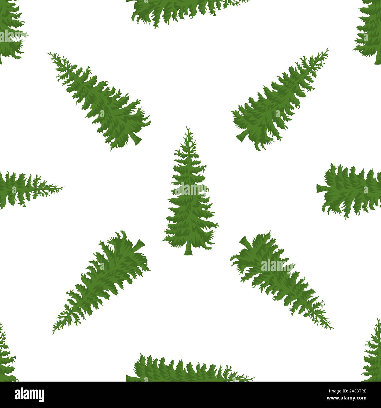 Christmas tree seamless pattern. High detailed fir tree texture ...