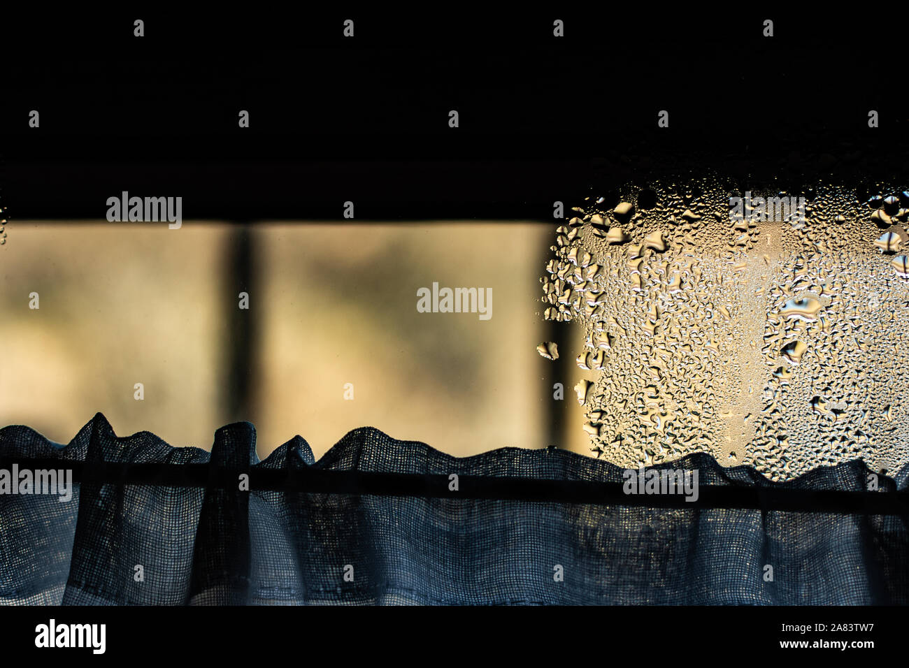 Translucent curtains on a wet glass window Stock Photo - Alamy