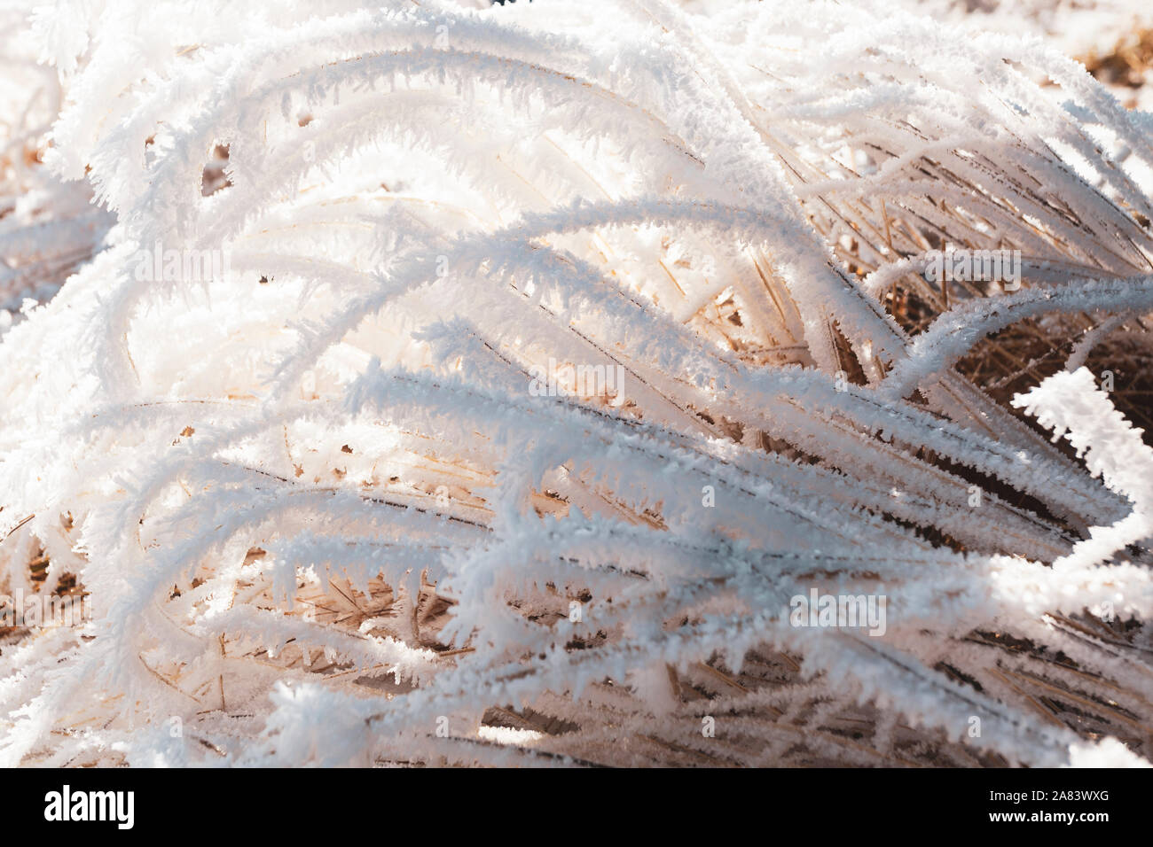 Soft shades hi-res stock photography and images - Alamy