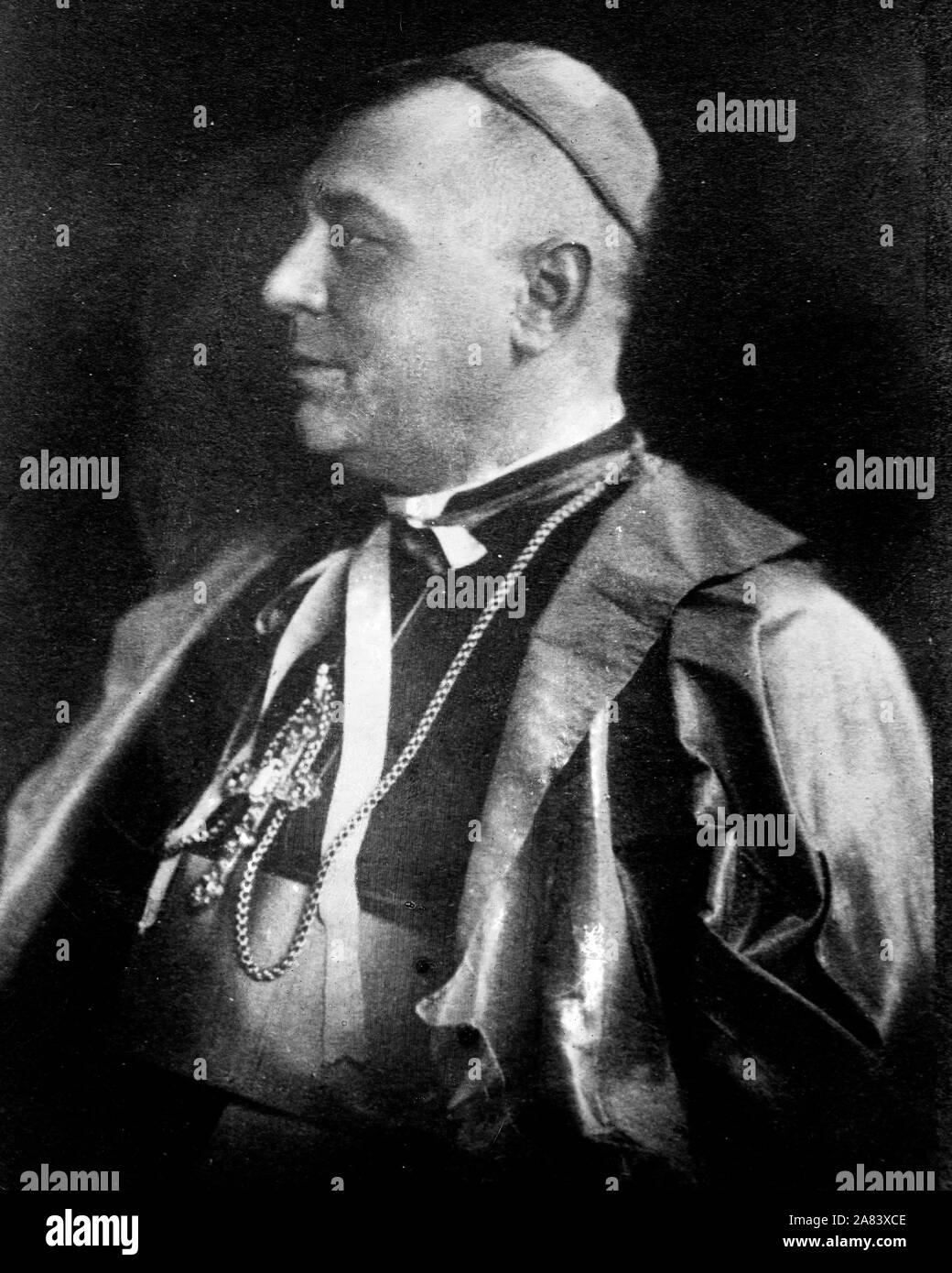 Nagl hi-res stock photography and images - Alamy