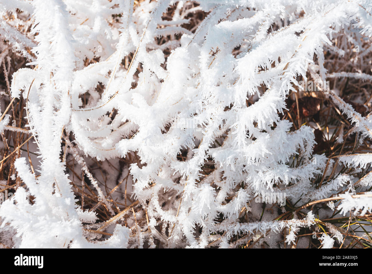 Hoarfrost formation hi-res stock photography and images - Alamy