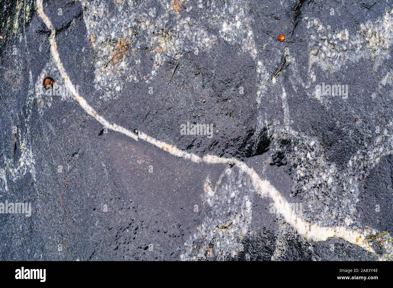 background stone marble granite, texture of sea stone Stock Photo - Alamy