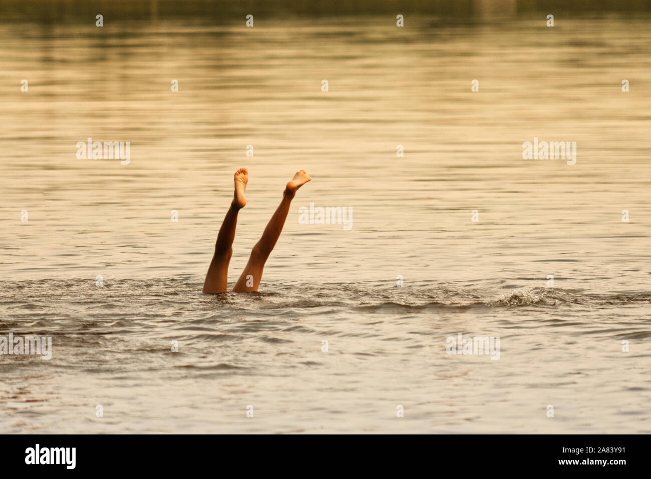Kid having fun swimming, diving in the lake with only legs poking up ...